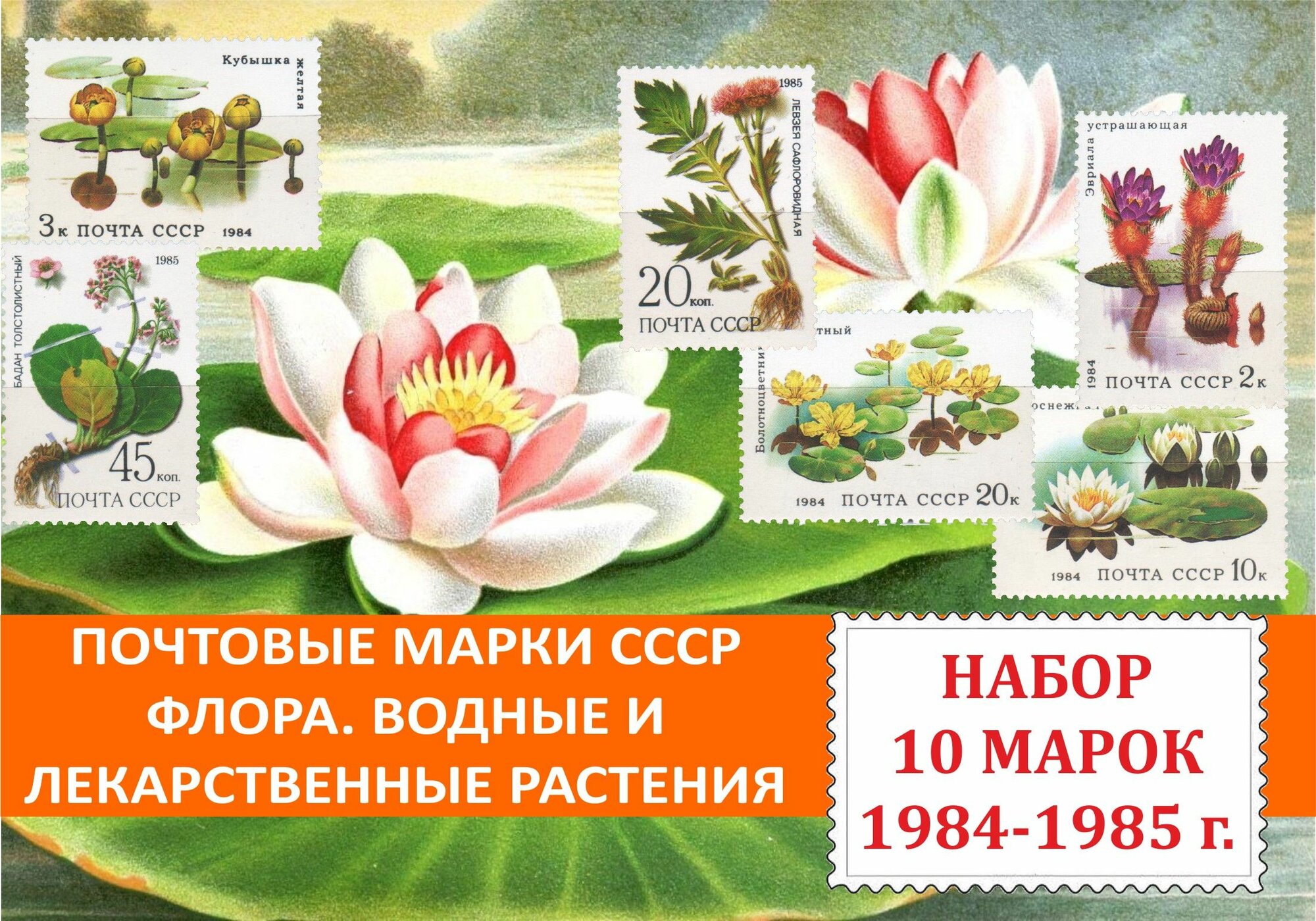 Почтовые марки СССР Флора. Водные и лекарственные растения. Набор 10 марок 1984-1985 годов
