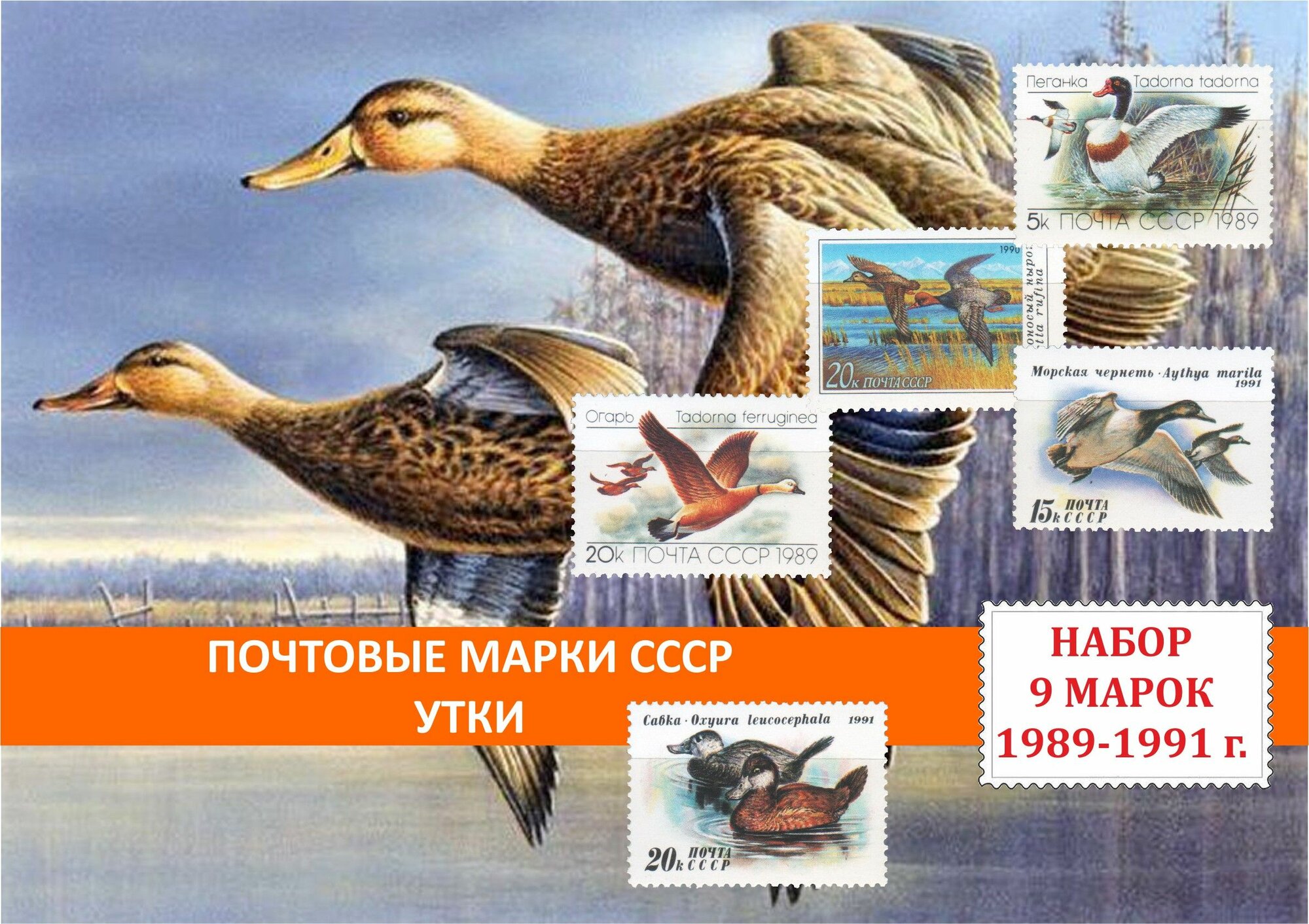 Почтовые марки СССР Фауна. Утки. Набор 9 марок 1989-1991 годов