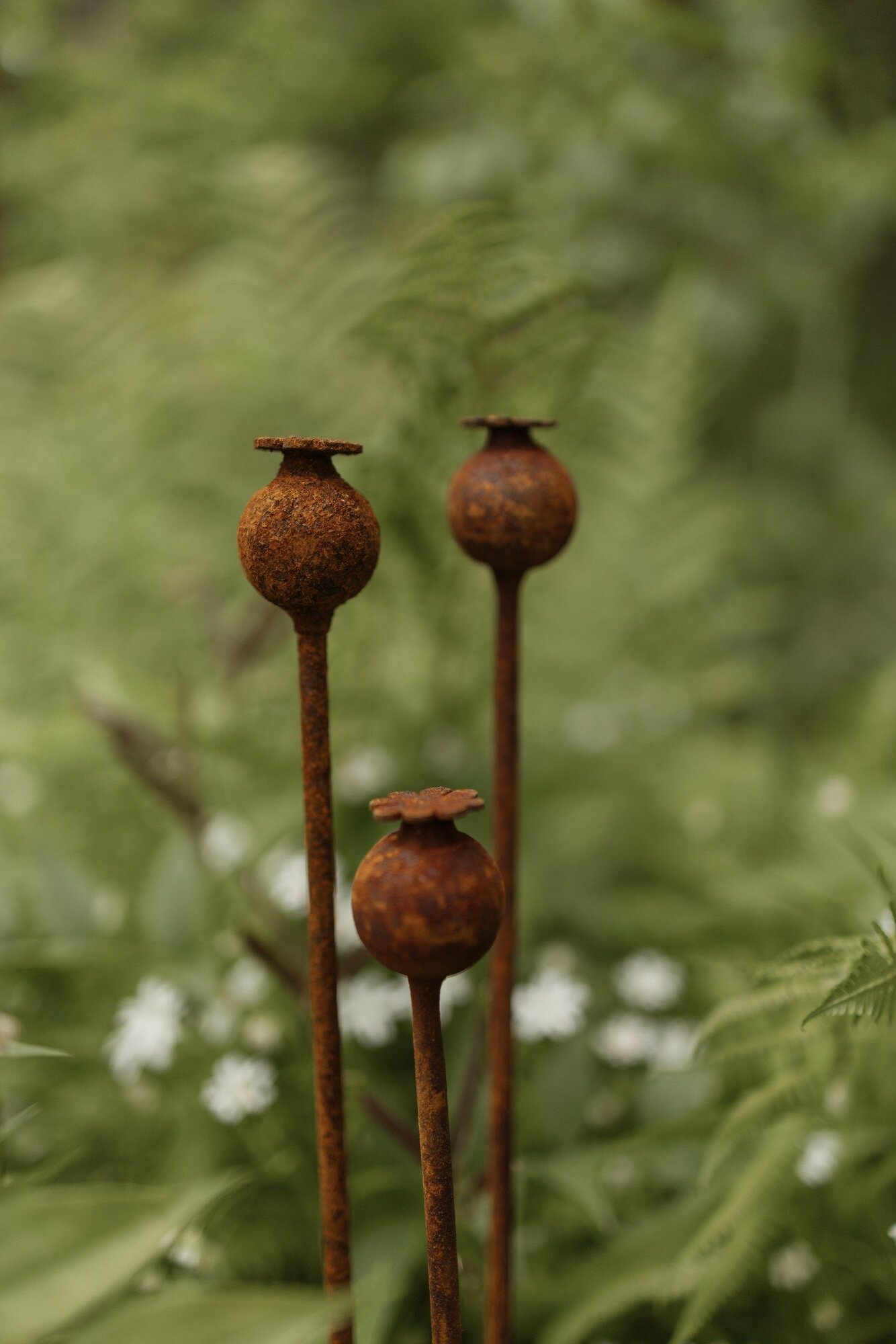 Садовый декор Маки для сада 3-70