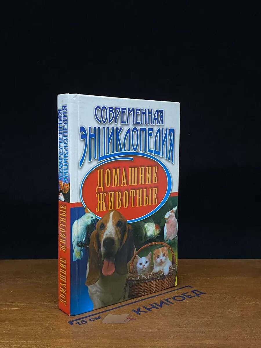 Книга. Современная энциклопедия. Домашние животные 2000 (2041146666130)