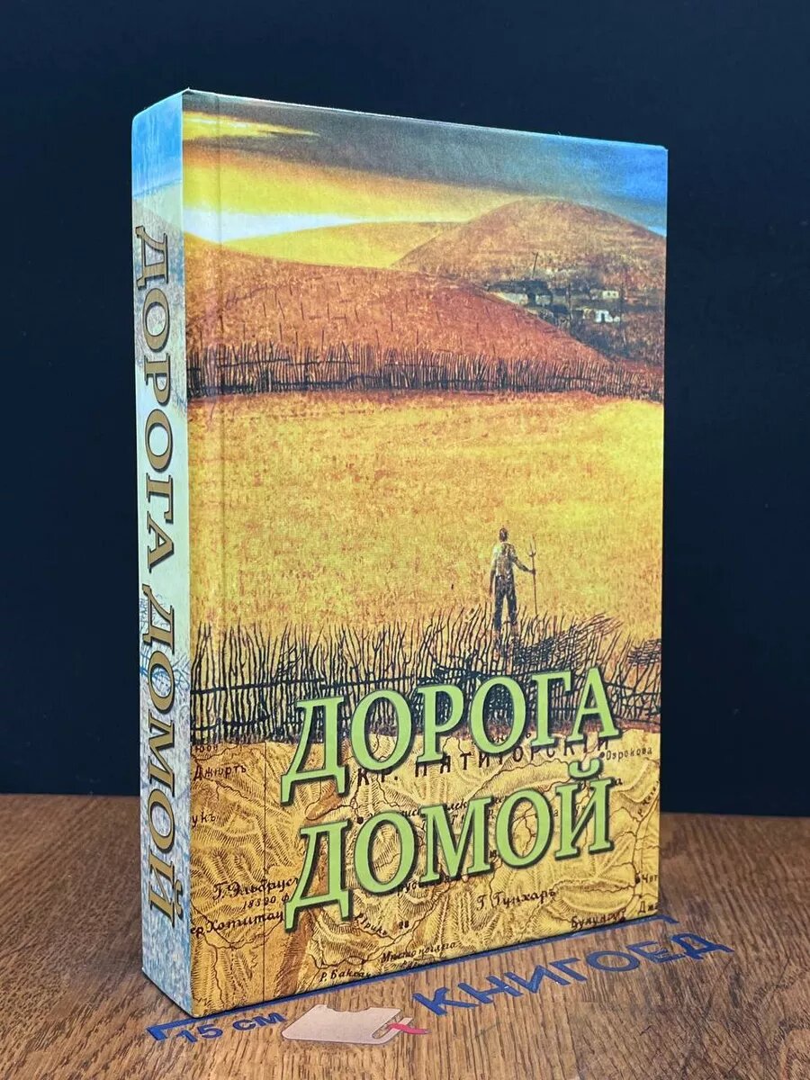 Книга. Дорога домой 2011 (2040770885900)
