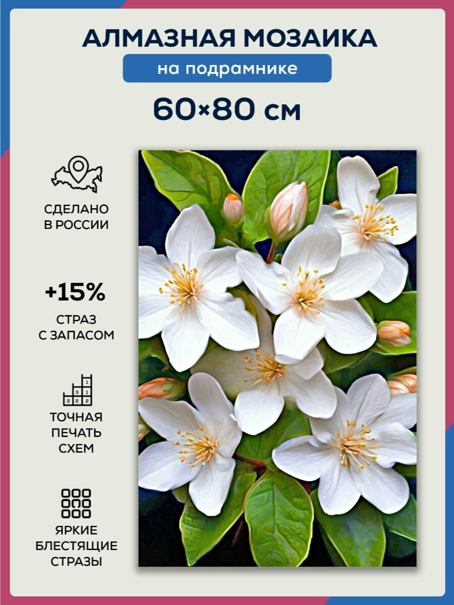 Алмазная мозаика 60x80 Жасмин на подрамнике