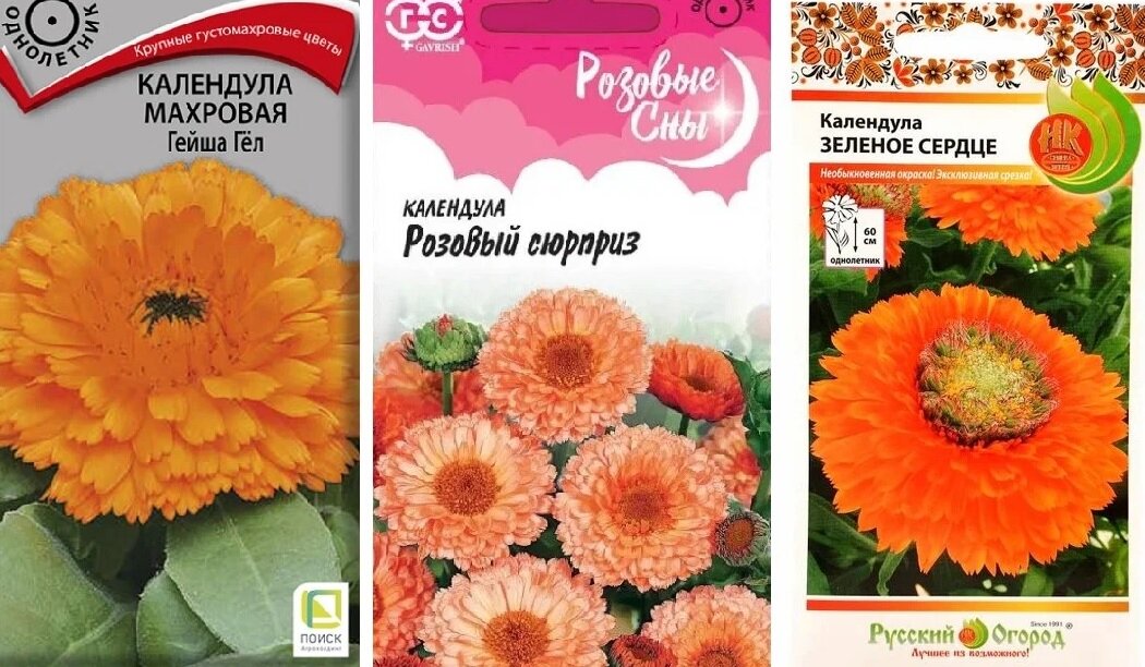 Набор семян календулы "Цветочный лекарь" (Календула Гейша Гёл, Розовый сюрприз, Зелёное сердце)