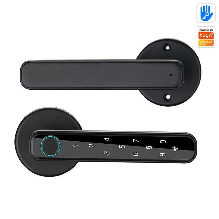 Биометрическая дверная ручка K001B XTD