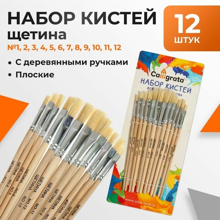 Набор кистей Школа талантов щетина плоские, 12 шт (670033)