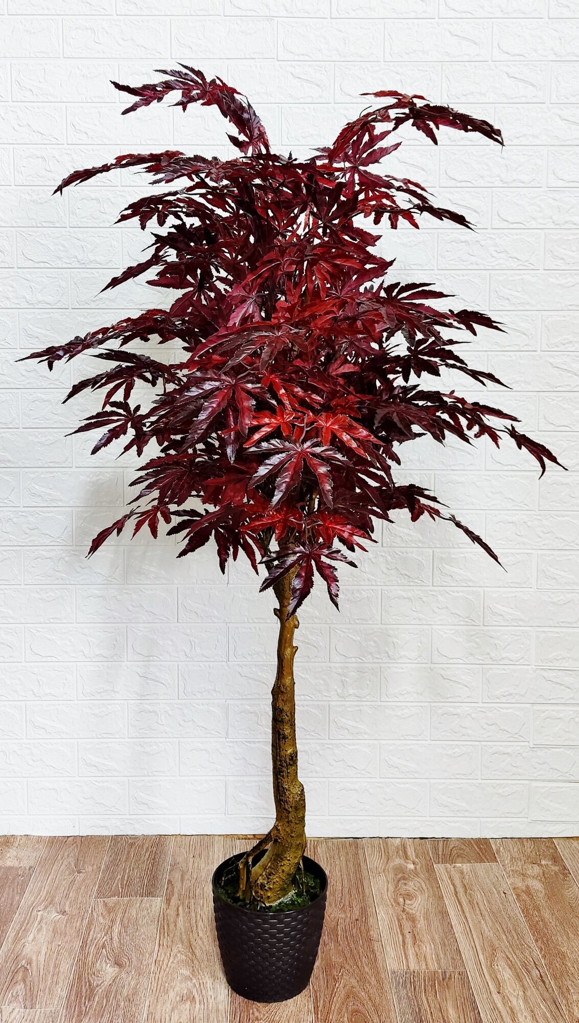 Клен бордовый 140 см, бренд CONEKO - декор для дома и офиса