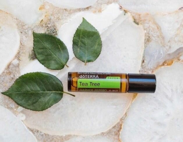 Эфирное масло doTERRA Чайное дерево Touch дотерра Tea Tree (Melaleuca), роллер, 10 мл