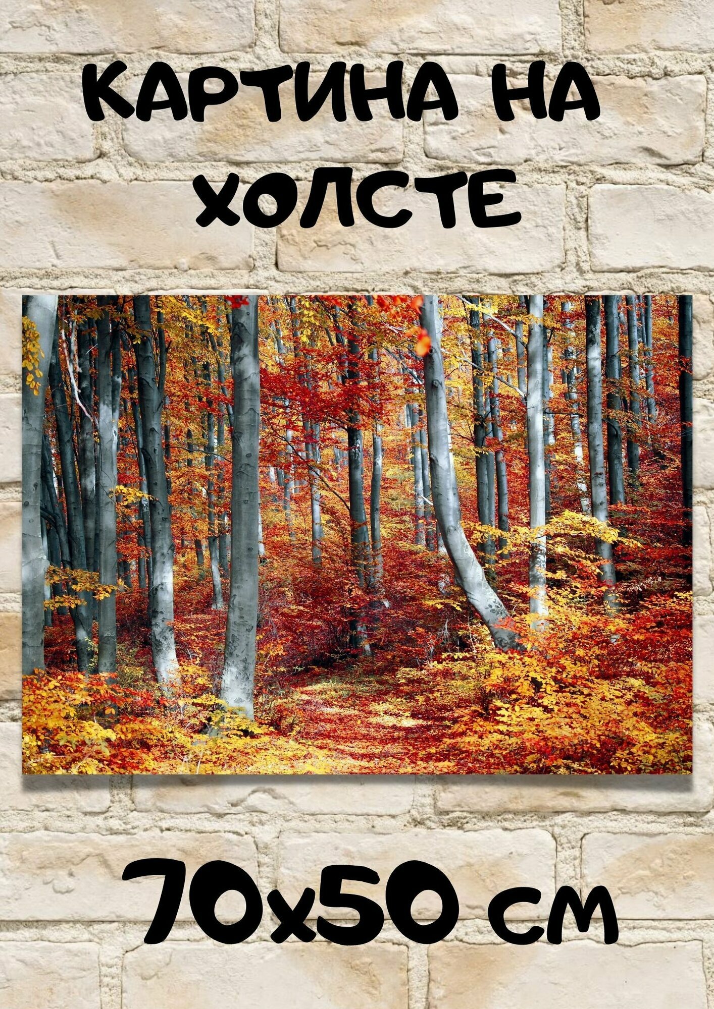 Картина с осенней порой для интерьера / Красные листья на деревьях осень