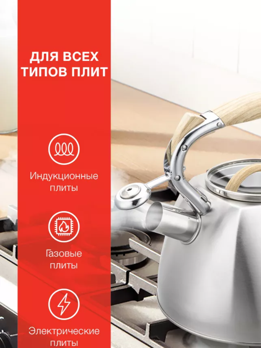 Металлический чайник StarWind Daily, 2.8л, серый [sw-ch1308]