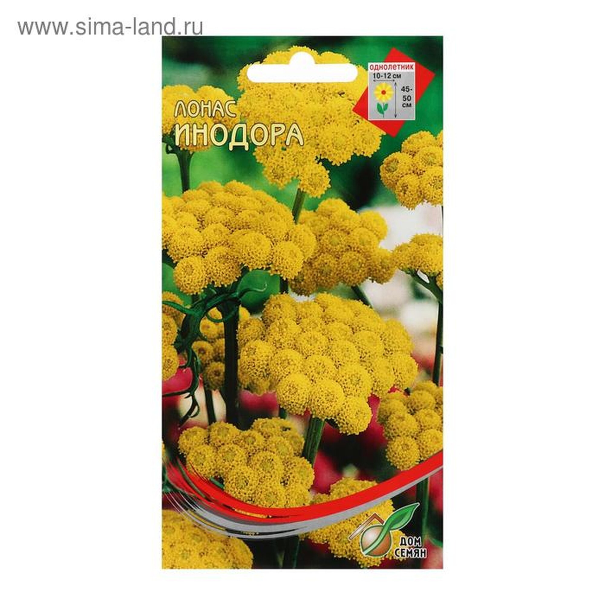 Семена Дом семян "Лонас Инодора", многолетние, высота 50 см, 100 штук