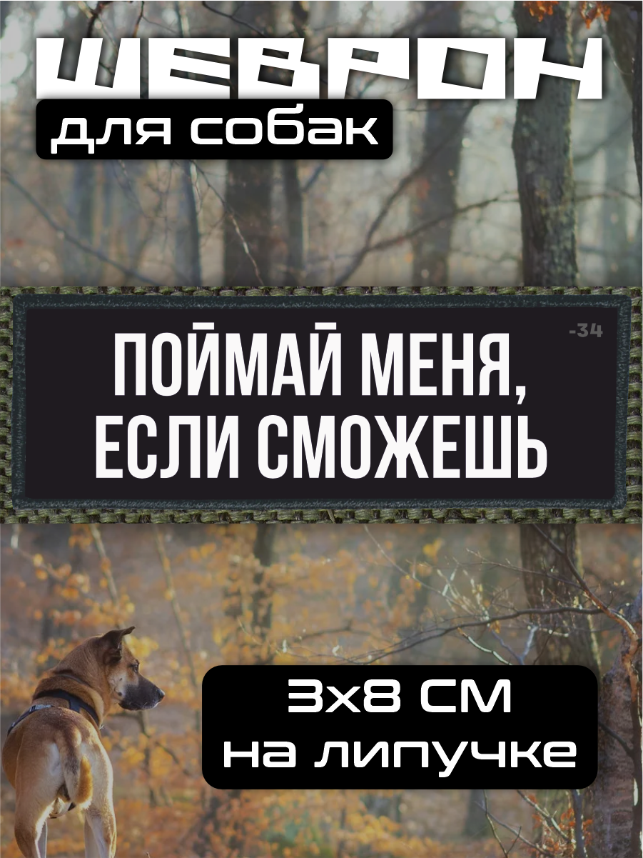 Шеврон на липучке для собак Поймай меня если сможешь