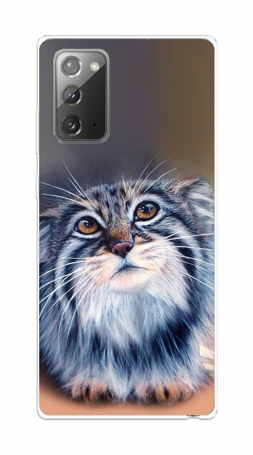 Чехол на Samsung Galaxy Note 20 / Самсунг Галакси Ноут 20 с принтом "Кот манул 2"