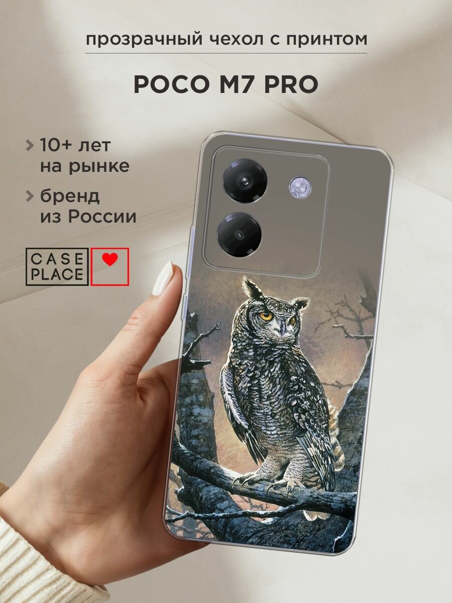 Силиконовый чехол на Poco M7 Pro / Поко М7 Про с принтом "Сова арт 5"