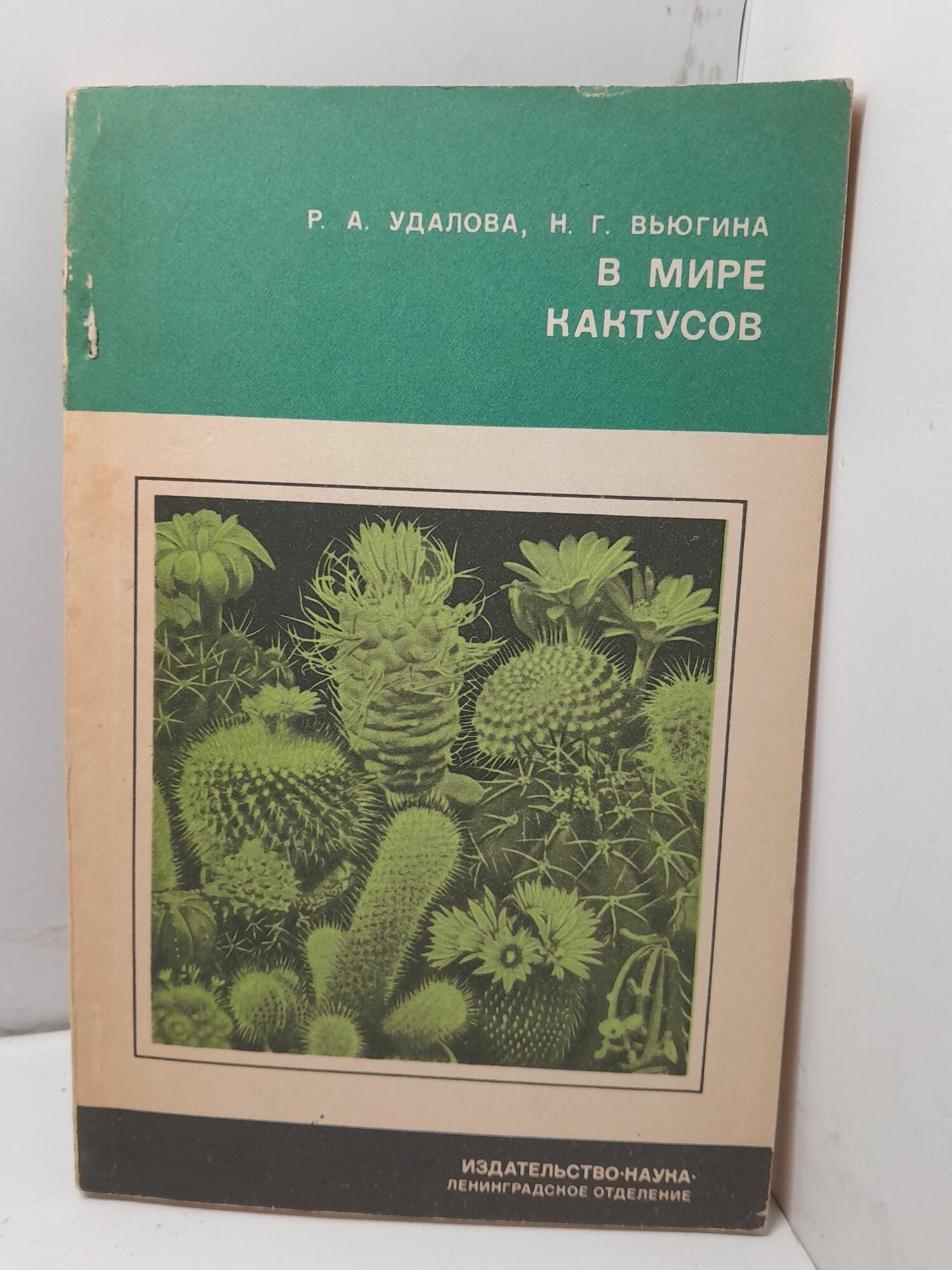 В мире кактусов / Р. А. Удалова