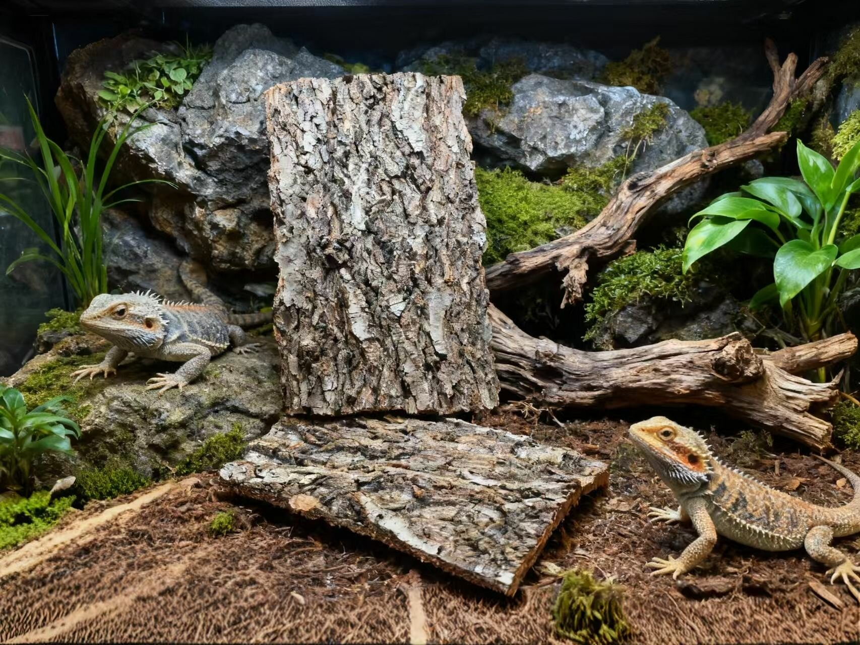 2 куска натуральной коры пробковой плитки декоративный фон 30х20 см Золотые рыбки, змеи, ящерицы, пауки-хамелеоны