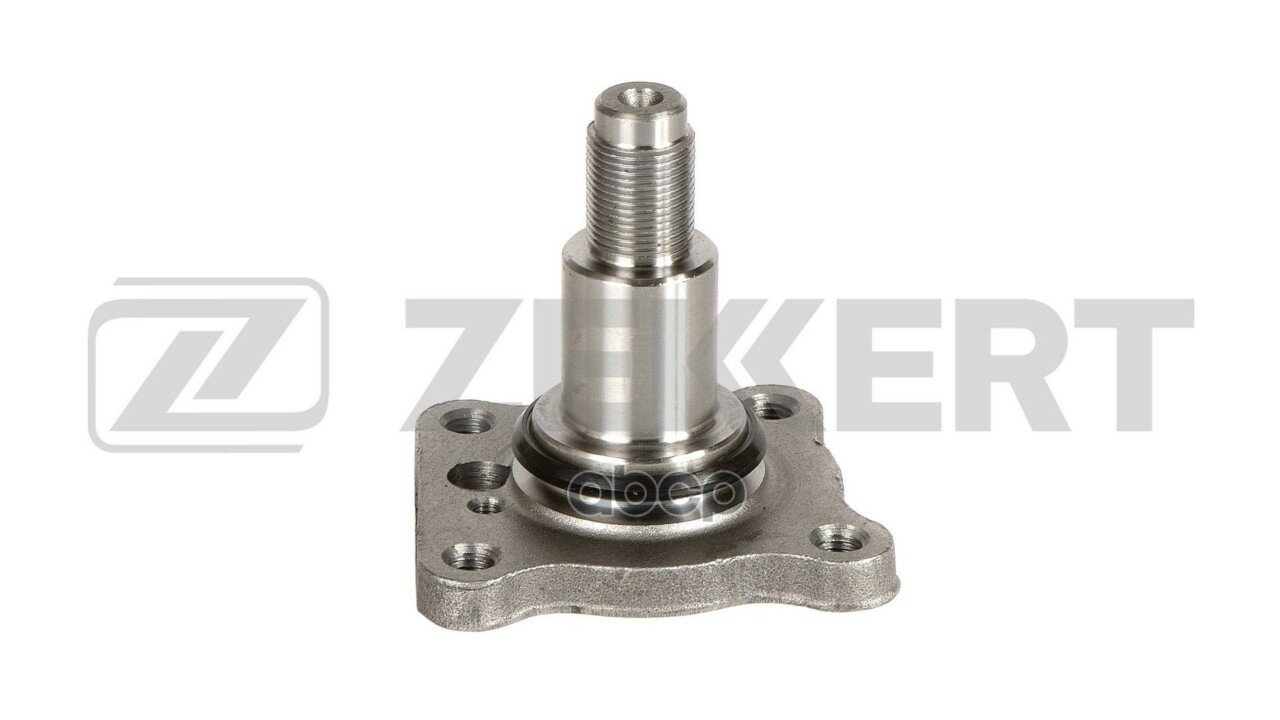 Ступица задняя (без ABS) Ford Focus 98- Fusion 02- Zekkert арт. rl-1891