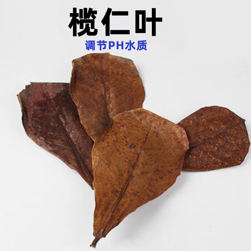 Листья миндального дерева для аквариума