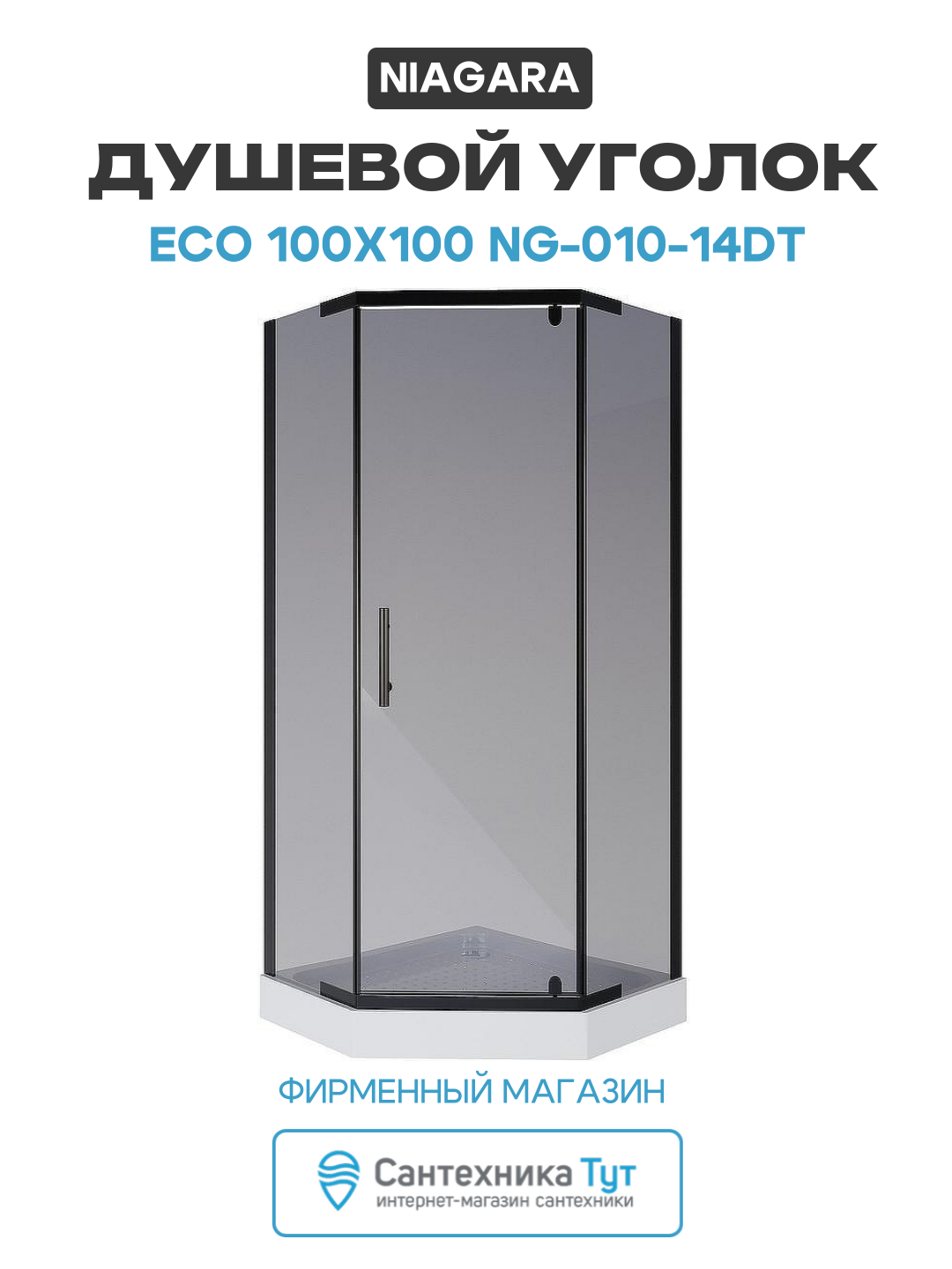 Душевой уголок Niagara Eco 100х100 NG-010-14DT профиль Черный стекло тонированное