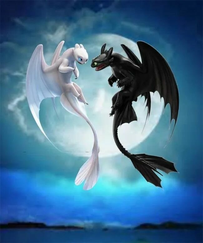 Алмазная Мозаика "как Приручить Своего Дракона / How To Train Your Dragon" Картина Стразами Алмазная Искусство Хобби 40X50CM