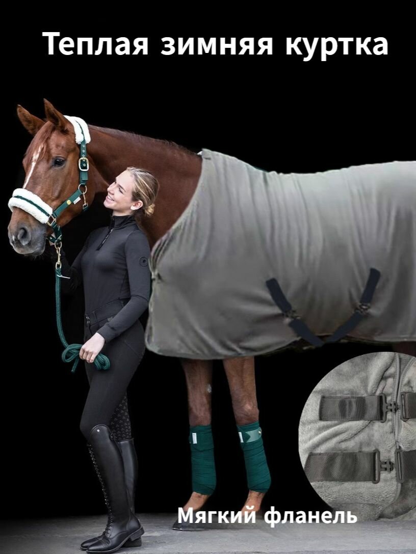 Попона для лошади