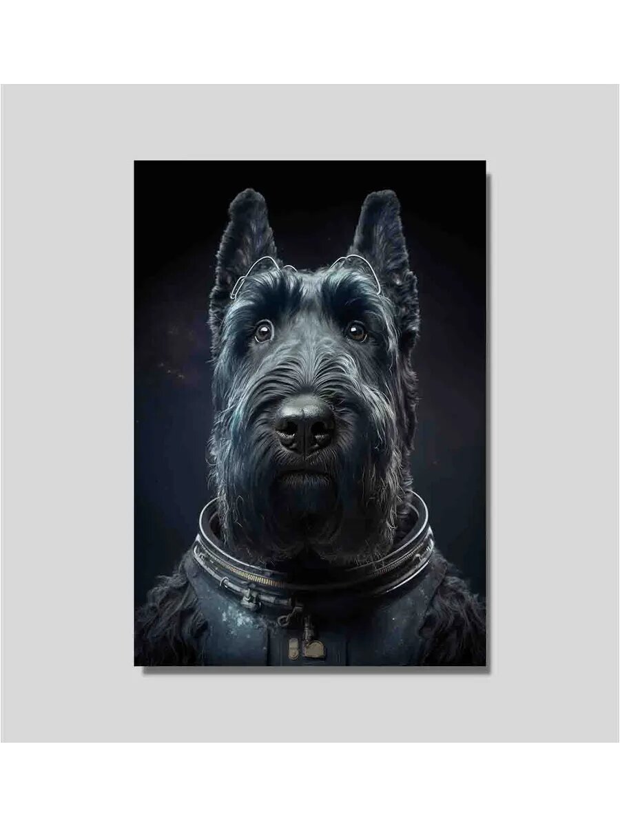 Собака-космонавт-гигантский шнауцер 4, Плакат 30x42см