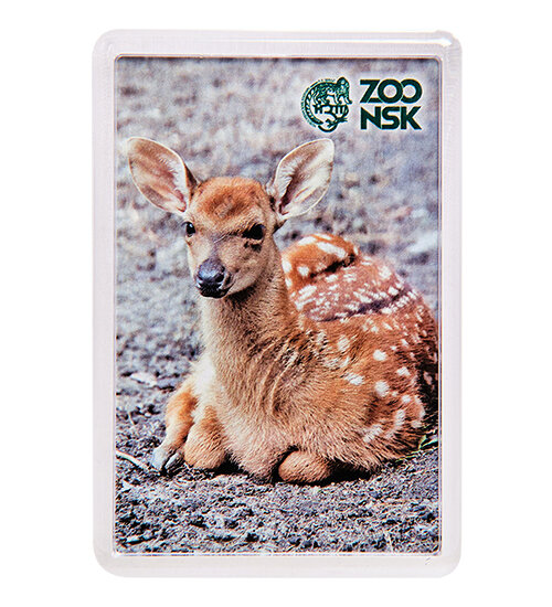 Магнит Новосибирский зоопарк МТ-001/07 113-401930