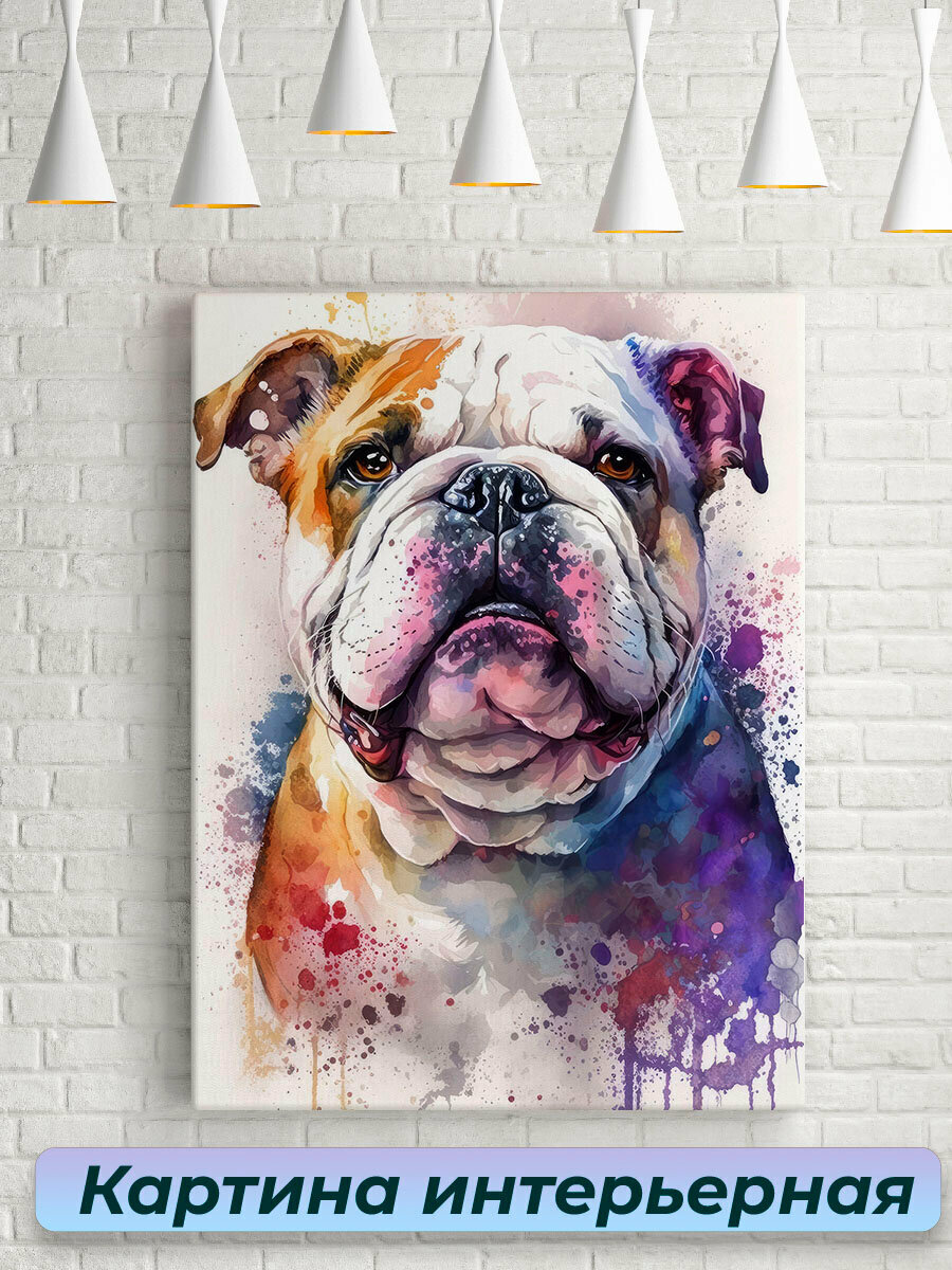 Картины для интерьера 40х60 Бульдог собака арт