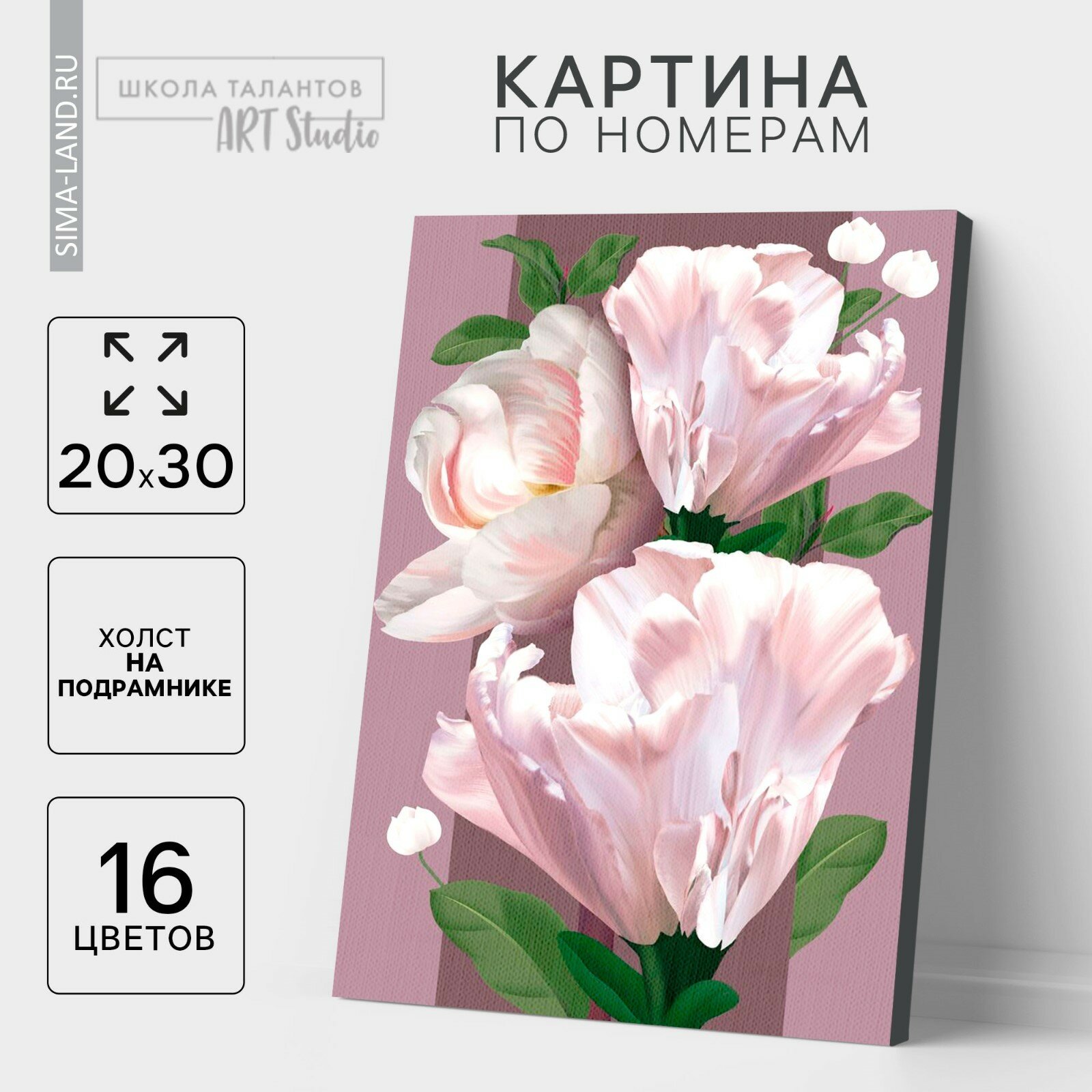 Картина по номерам на холсте с подрамником «Цветы для души», 20×30 см