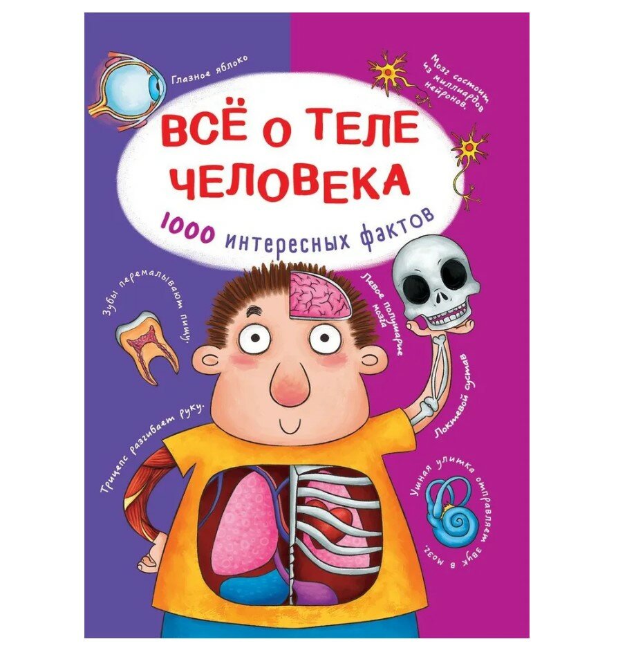 Книга Кредо Все о теле человека. 1000 интересных фактов. 2019 год, А. Котка
