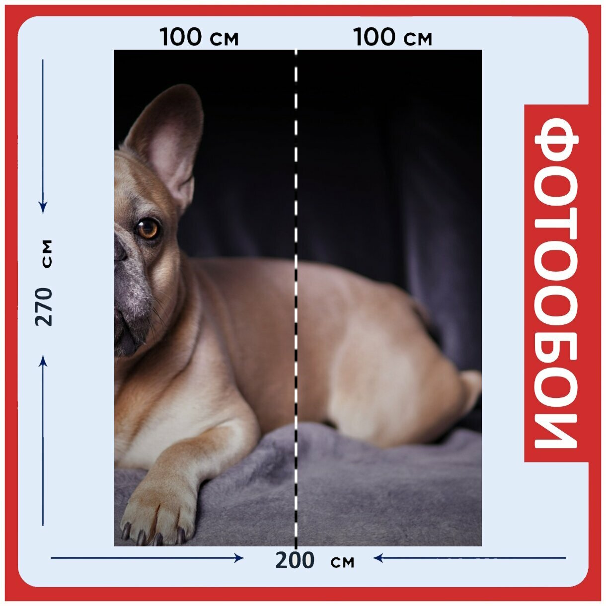 Фотообои "Французский бульдог, собака, лапа" 200x270 см. флизелиновыена стену