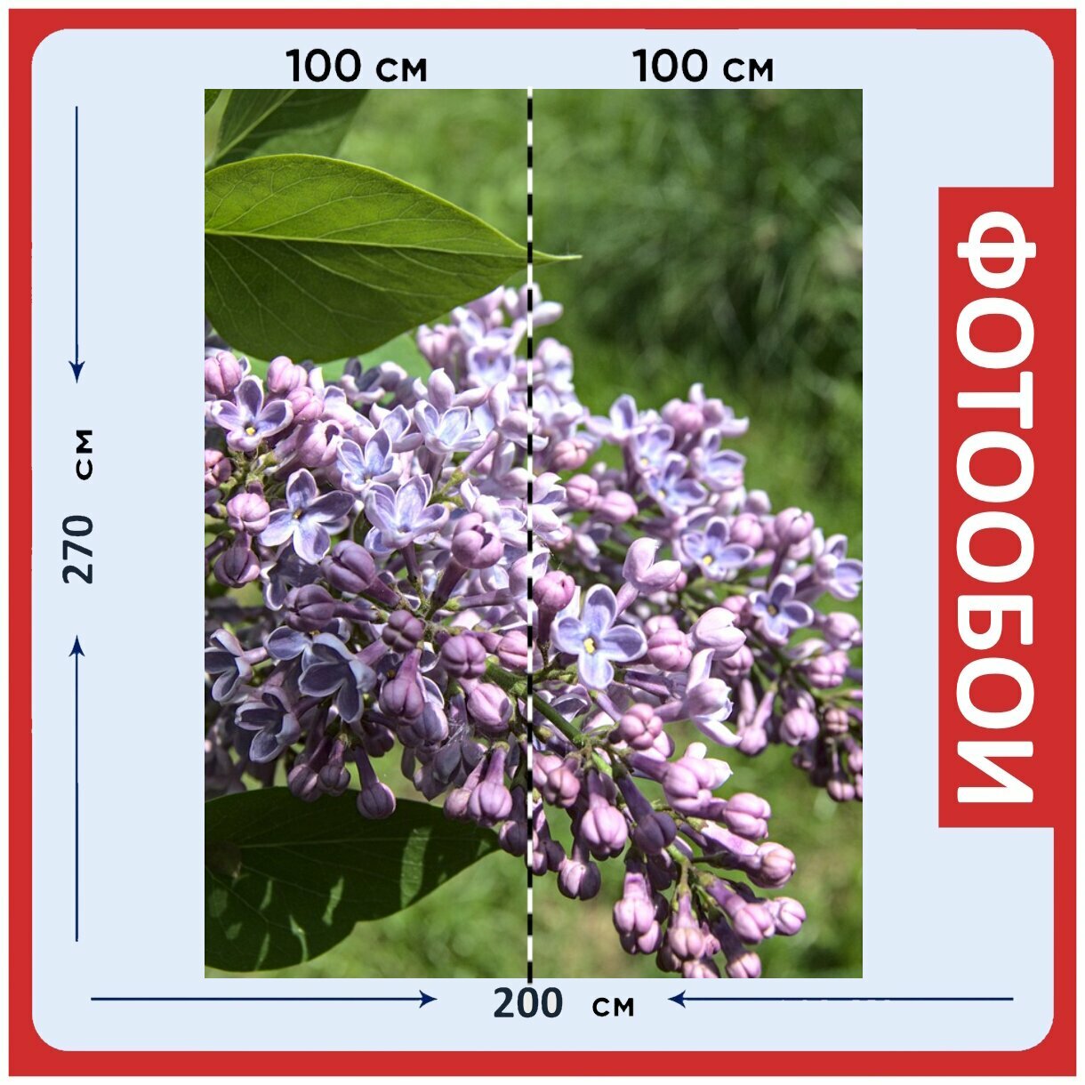 Фотообои "Без, сирень, цветок" 200x270 см. флизелиновыена стену