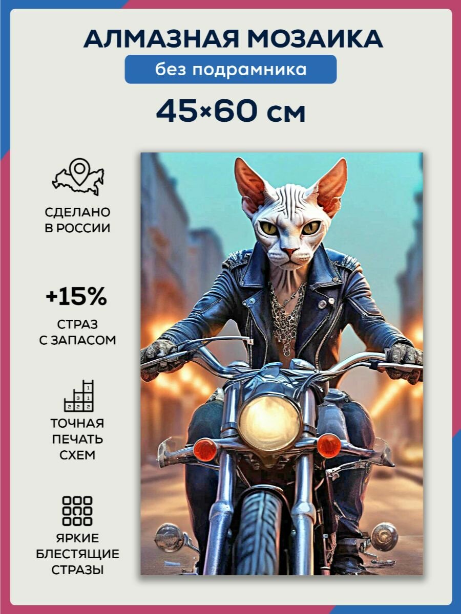 Алмазная мозаика 45x60 Сфинкс - мотоциклист без подрамника