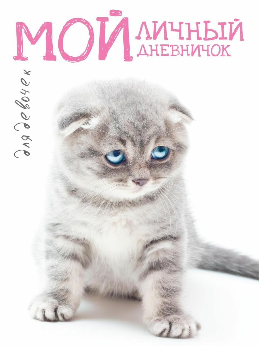 Мой личный дневничок для девочек (Вислоухая киса)