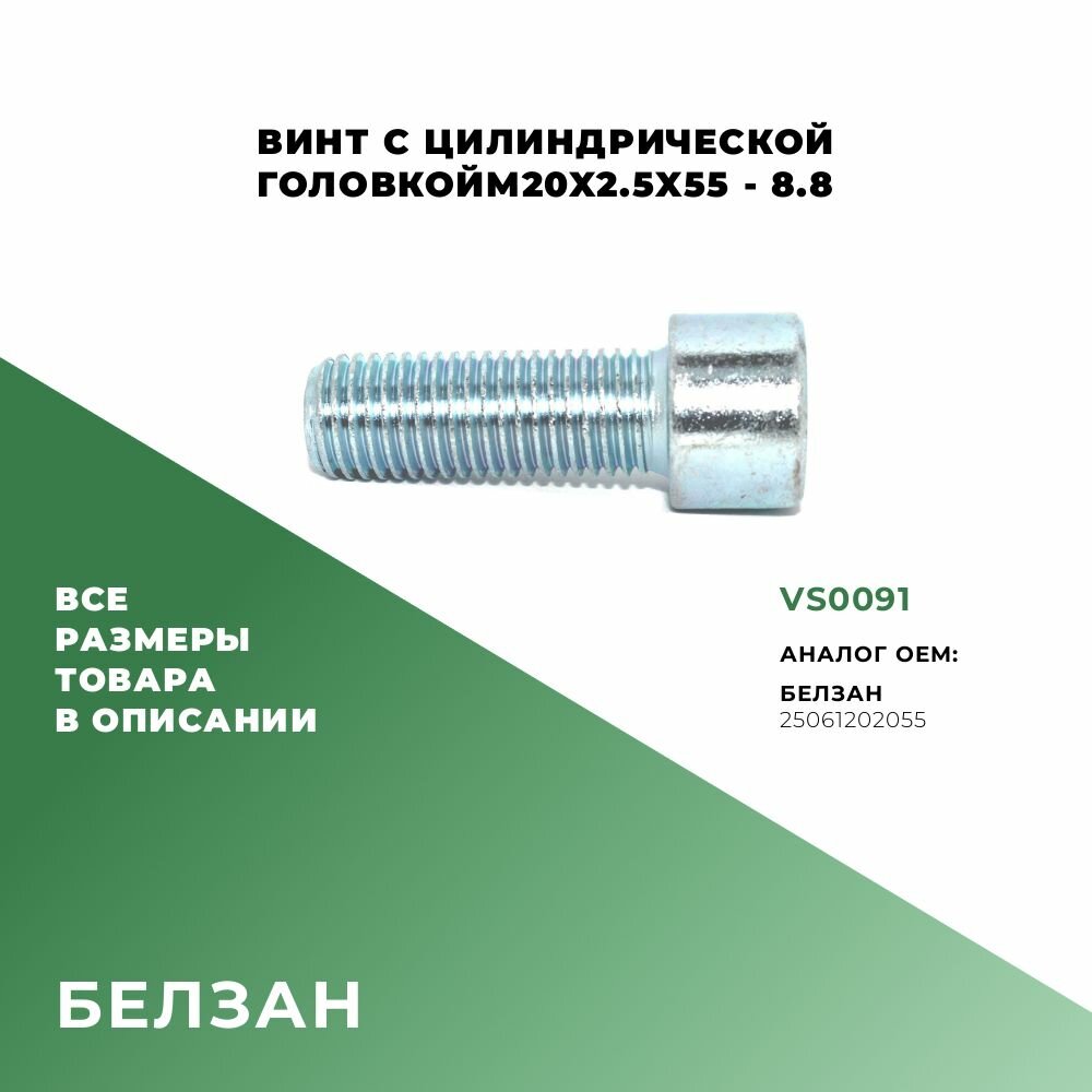 Винт с цилиндрической головкой M20х55х2,5-8.8; БелЗАН 25061202055; VS0091