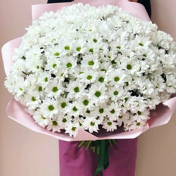 Букет Well Flowers, дизайнерская упаковка, кустовые хризантемы, 25 шт, букет свежих цветов