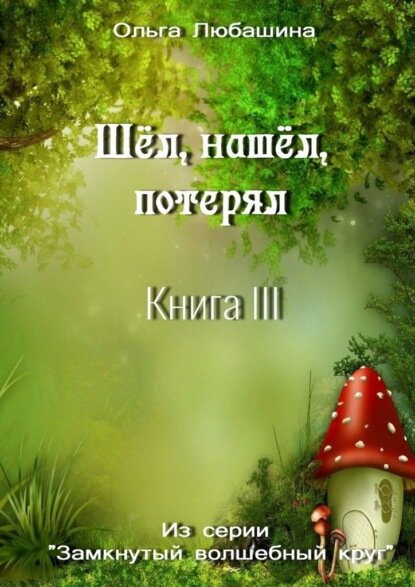Шёл, нашёл, потерял. Книга III [Цифровая книга]