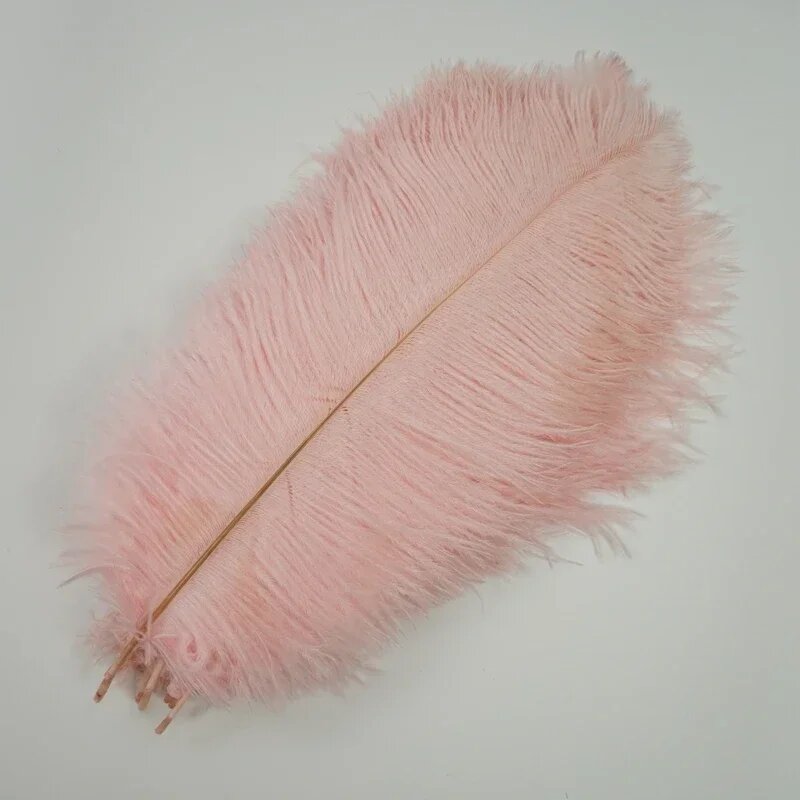 Страусиные перья Xywae, белые, черные, большие Розовый, 15-20cm 6-8inch, Light Pink