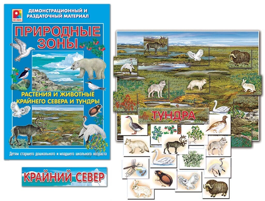 Демонстрационный и раздаточный материал "Природные зоны. Растения и животные Крайнего Севера и тундры."