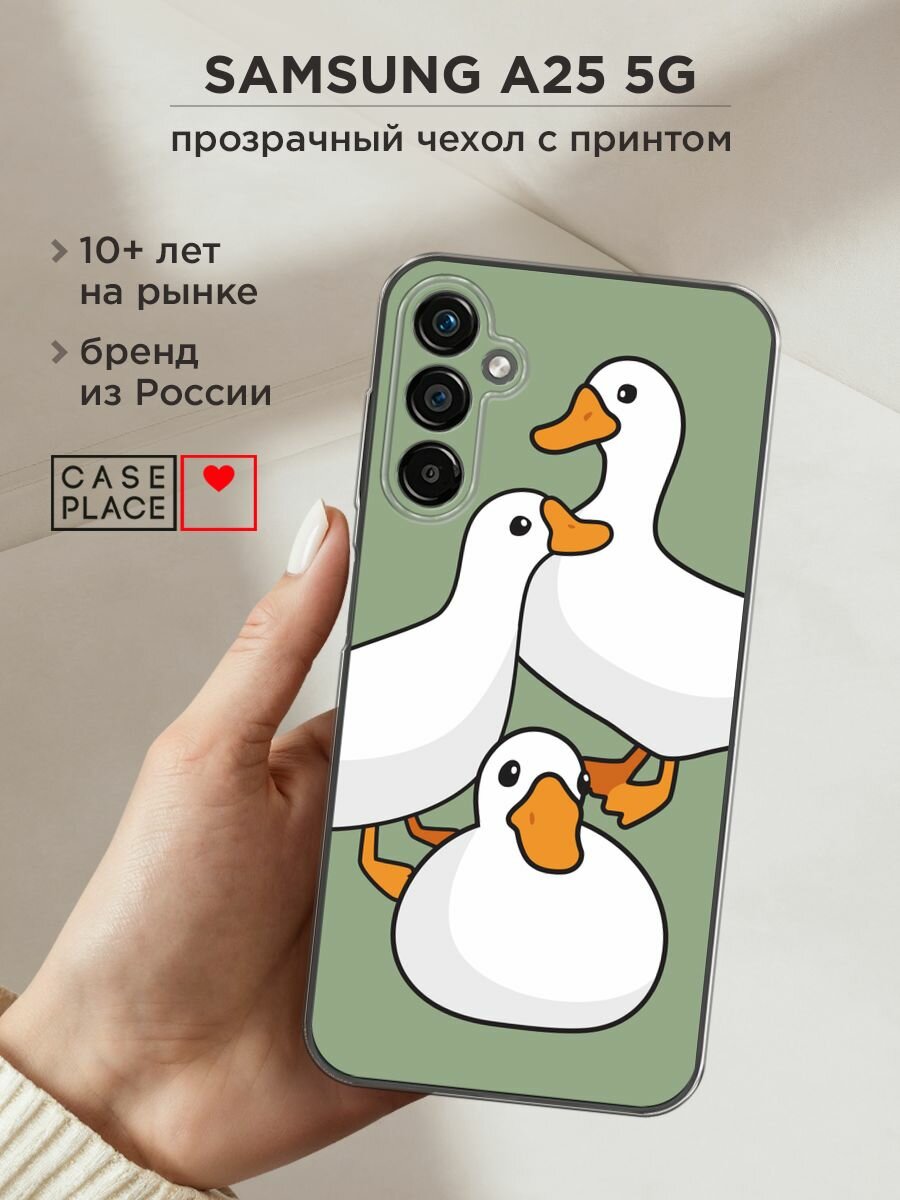 Чехол на Samsung Galaxy A25 5G / Самсунг Галакси A25 5G с принтом "Утиное трио"