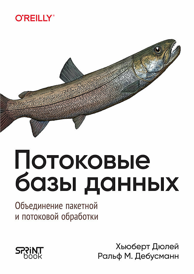 Потоковые базы данных / книги по программированию / компьютерная литература