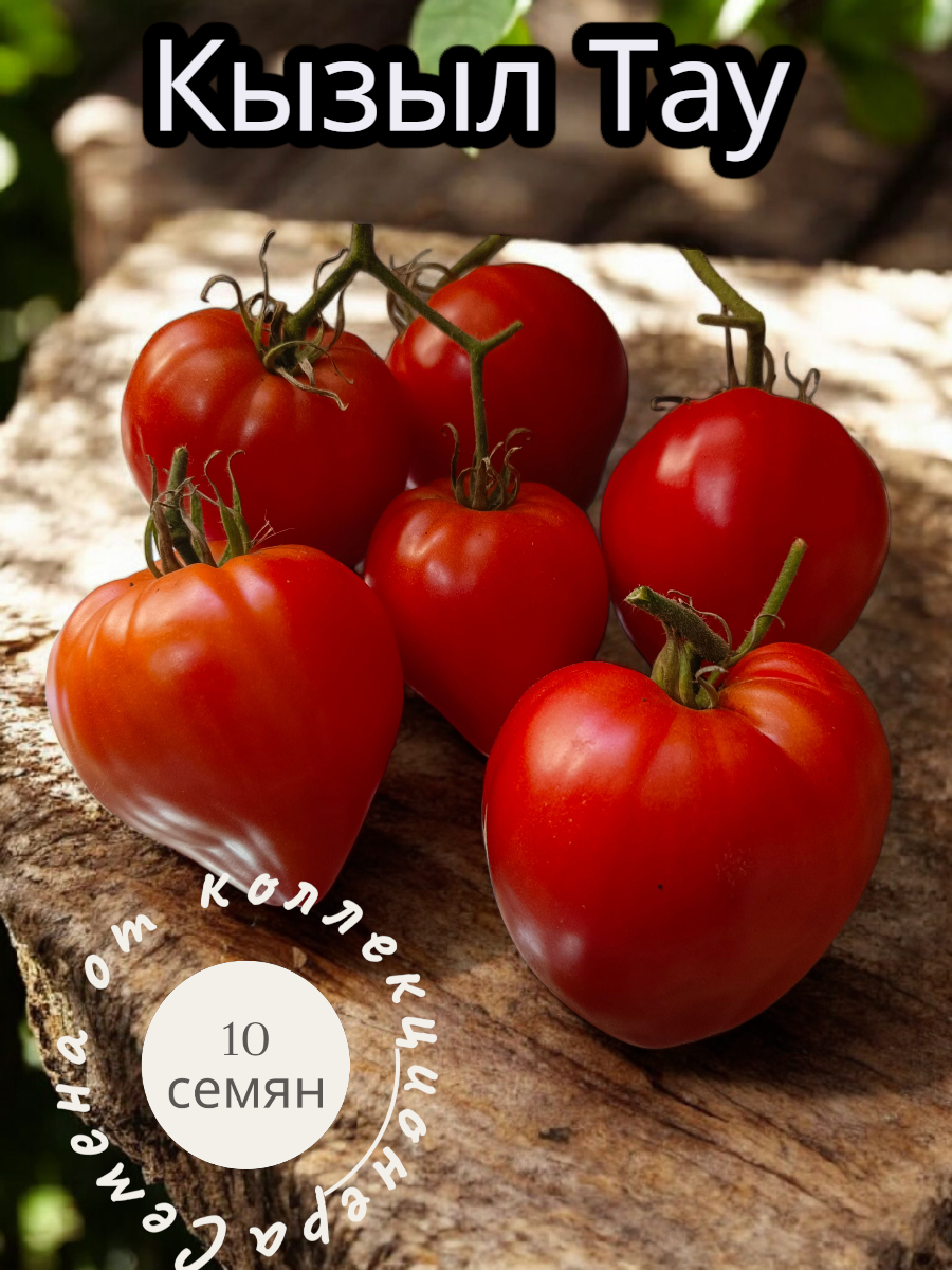 Семена Томата «Кызыл Тау» — среднеспелый, высокорослый сорт, Виталия Алиферова.