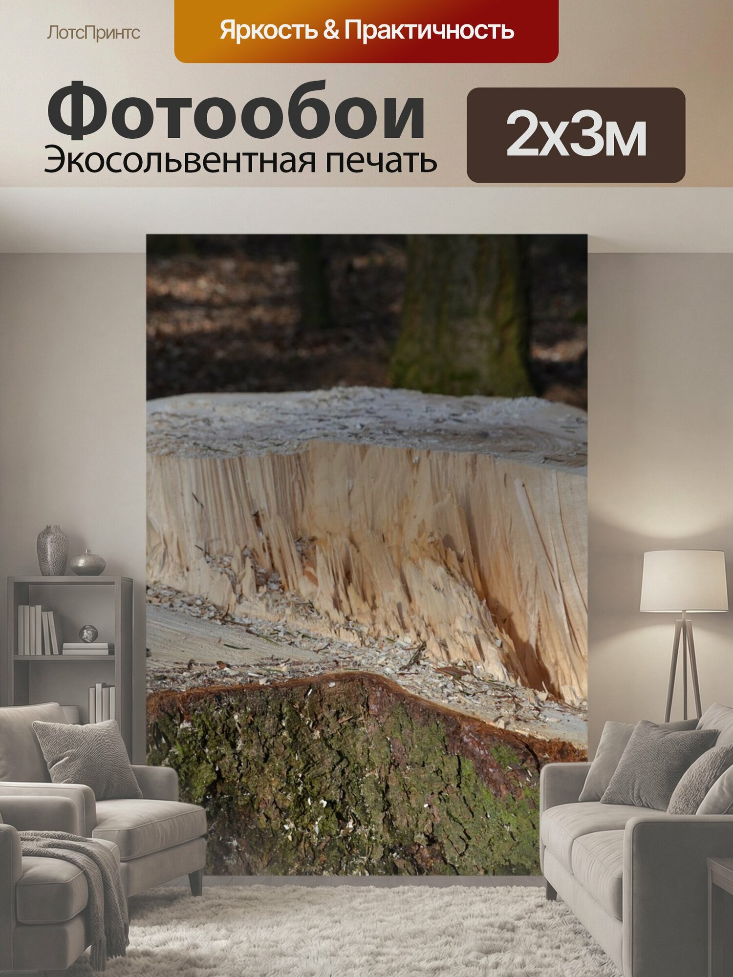 Фотообои "Лес, древесина, ствол дерева" 200x300 см. экосольвентная печать