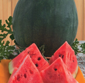 Семена Арбуза Принц Датский F1 (0,5 гр.)