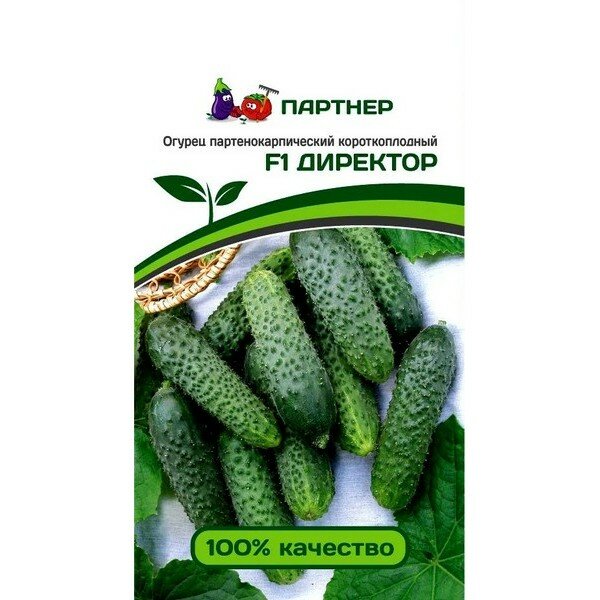 Семена огурца Партнер "Директор F1", среднеранние, гибридный сорт, 5шт