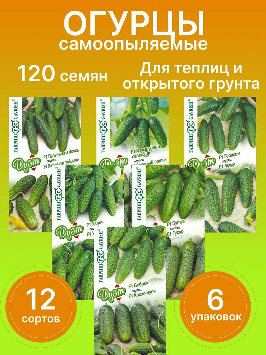 Семена огурцов самоопыляемых 6 пакетов 12 гибридов Дуэт №4