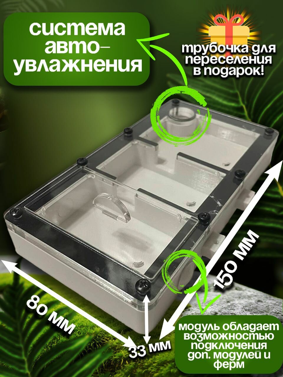 Муравьиная ферма — фото 1