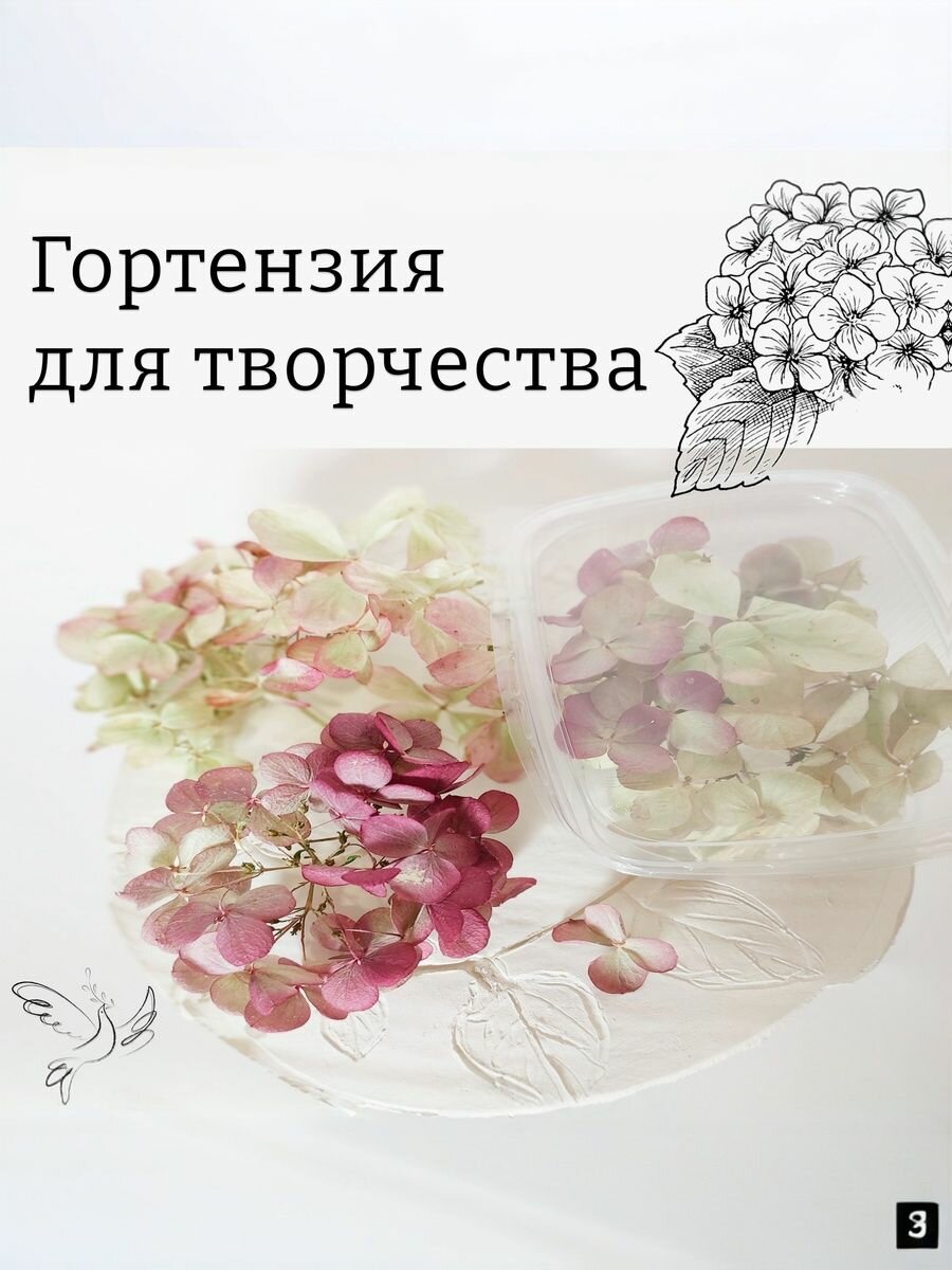 Сухрцветы "Гортензия" для декора, украшений, эпоксидной смолы, ногтей, свечей
