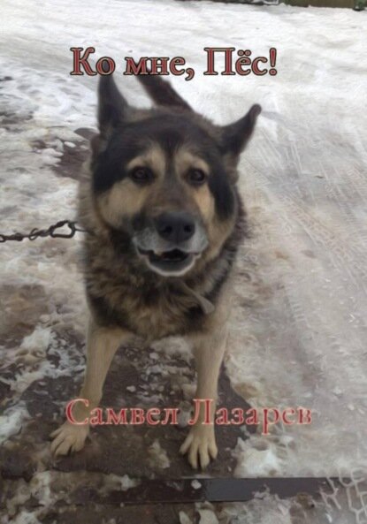 Ко мне, Пёс! [Цифровая книга]