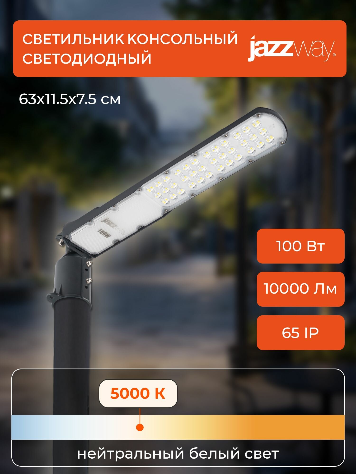 Светильник уличный консольный Jazzway PSL 09 100W 5000K IP65