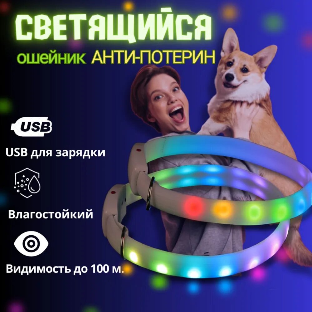 Ошейник светящийся регулируемый для собак мелких, средних и крупных пород c USB зарядкой, 65 см